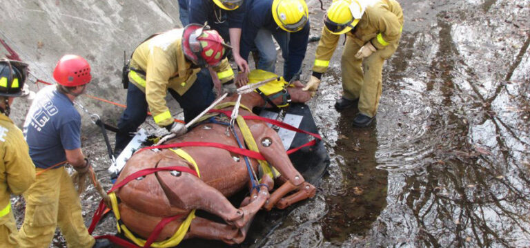 Animal Technical Rescue Awareness – Code 3 Rescue Training